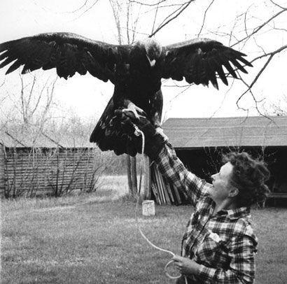 The Founding Mothers of Wildlife Conservation - Wyoming Wildlife Federation