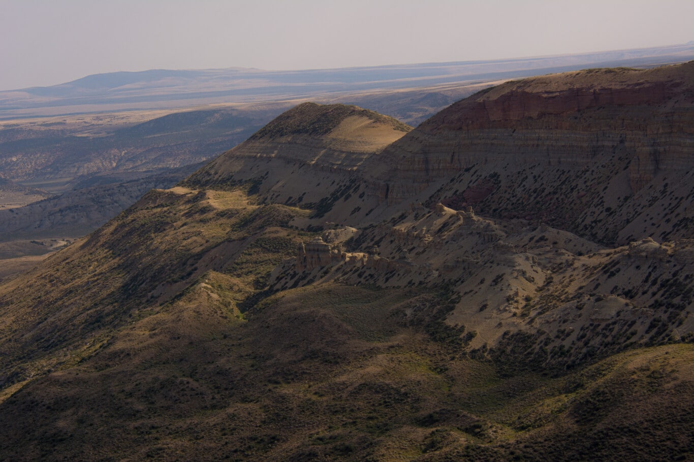 Where Would WWF Take Commissioner Tags? - Wyoming Wildlife Federation