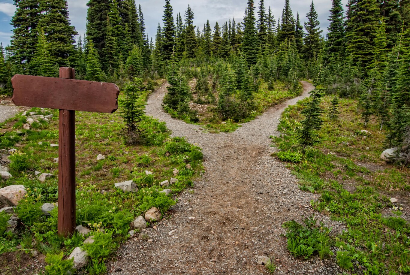Make a Trail - Wyoming Wildlife Federation